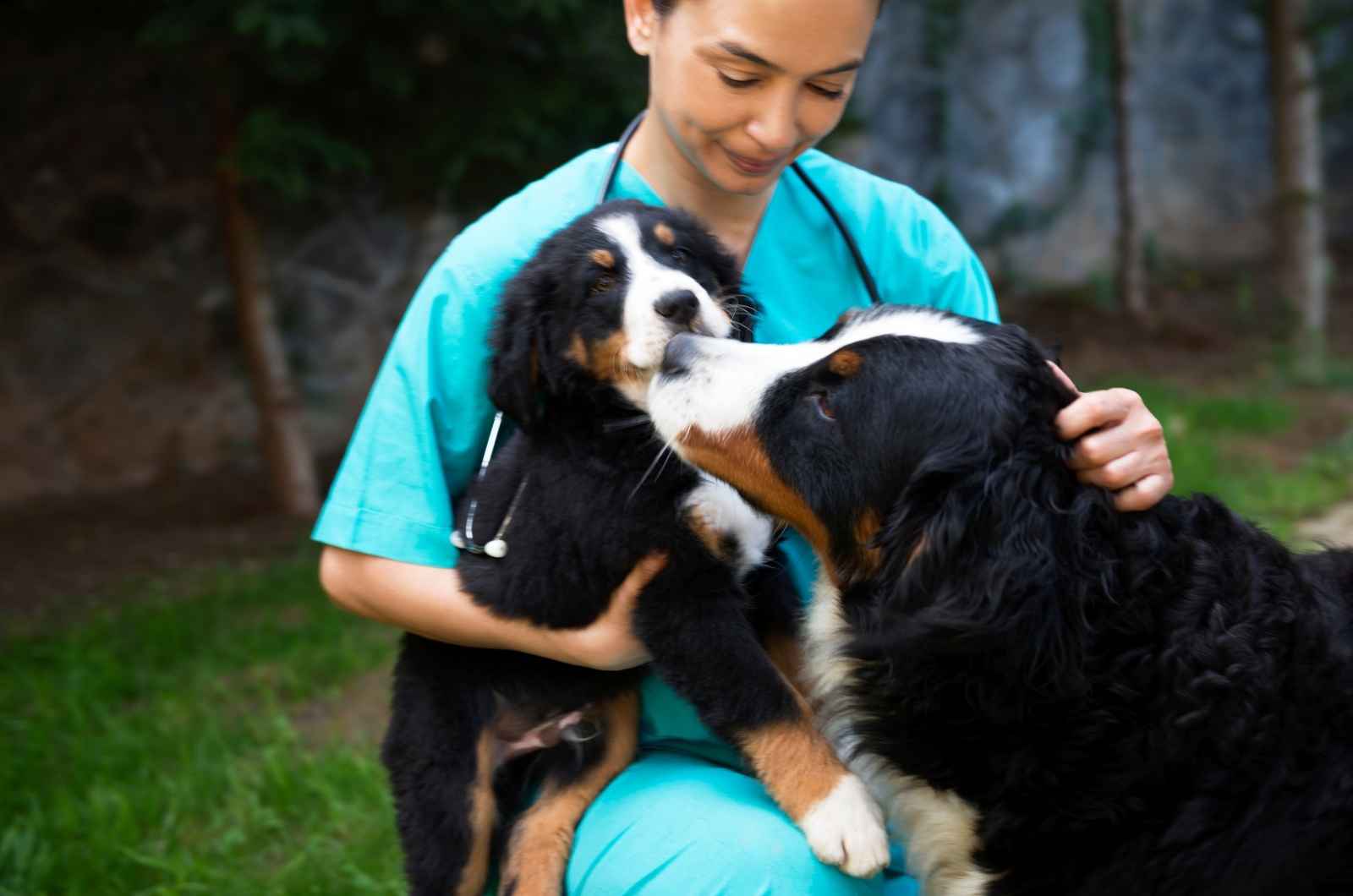 ?What Are Preclinical Animal Models - בלוג הבריאות הטבעית, עם מוצרי ...